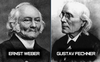 How Much Does A Baseball Glove Weigh?