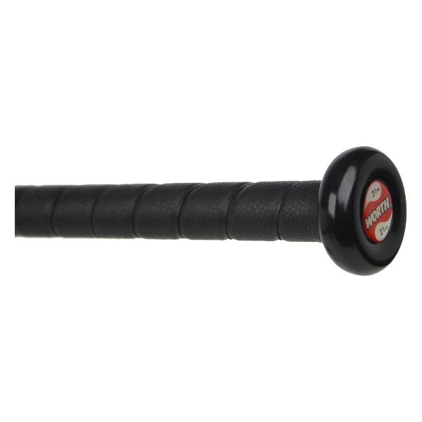 Worth Quad Metal Matrix -10 2 1/4" Fastpitch Softball Bat FPLQ ...