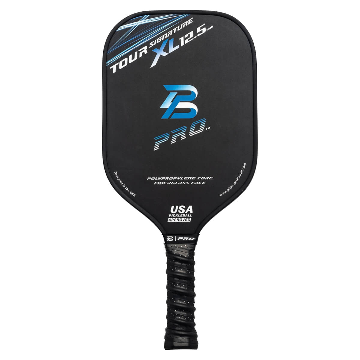 PB Pro Tour Signature XL Heavyweight Composite Pickleball Paddle ...