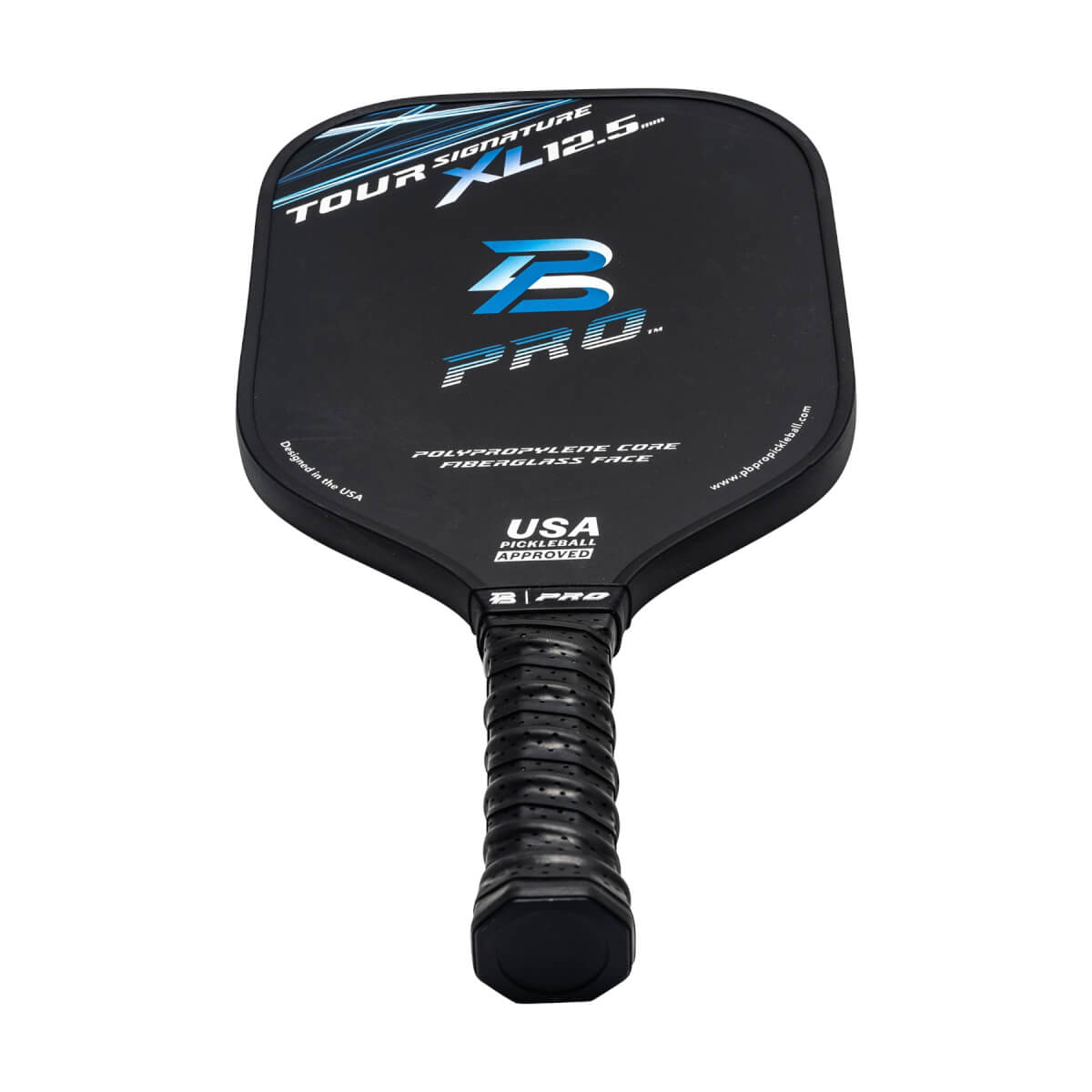 PB Pro Tour Signature XL Heavyweight Composite Pickleball Paddle ...