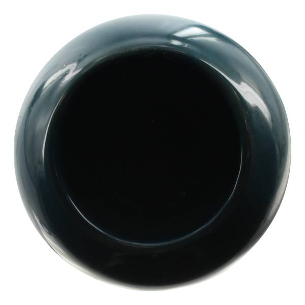 Victus Pro Reserve JC24 Players Weekend Maple Wood Baseball Bat ...