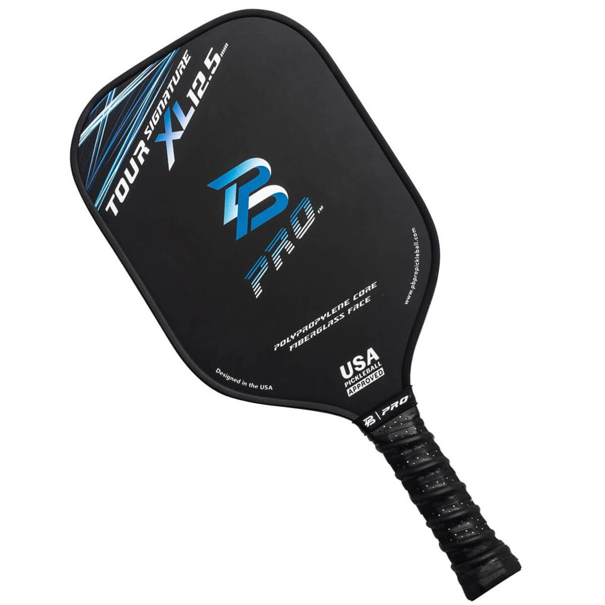 PB Pro Tour Signature XL Heavyweight Composite Pickleball Paddle ...