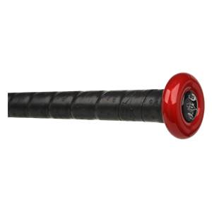 Easton Rampage -12.5 2 1/4" Youth Baseball Bat LX65 | JustBats.com